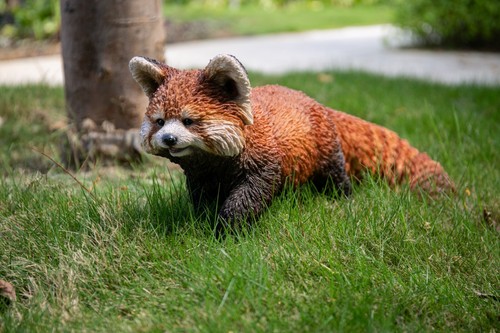 Red Panda Cub Walking Garden Statue Garden Backyard Decor Great Gift ...
