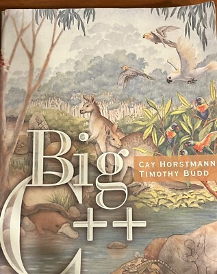 Big C++ Paperback Cay Horstman & Timothy Budd 9780471470632| eBay