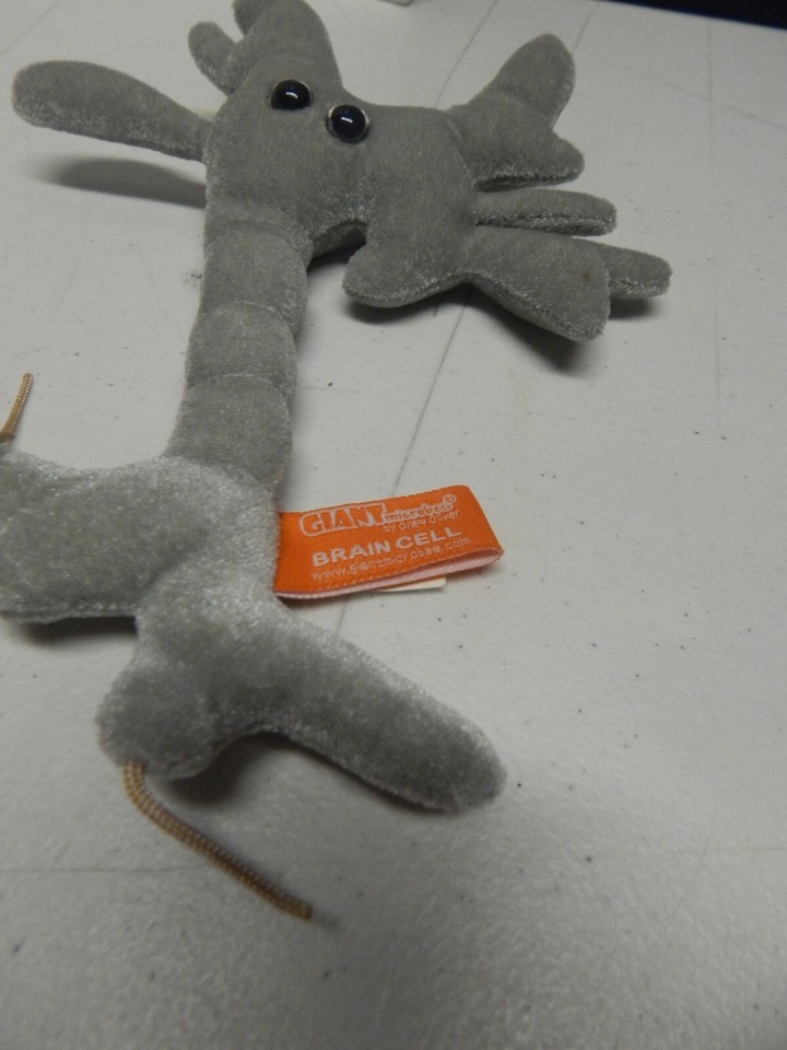 Giant Microbes Brain Cell novelty plush toy 8" Stuffed Anatomy | eBay