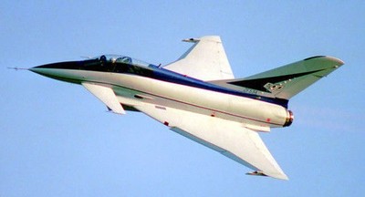 British Aerospace EAP Airplane Wood Model Replica Large Free Shipping ...