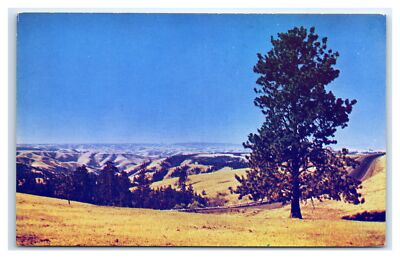 Pendleton, OR Postcard- ROLLING SUMMIT OF THE BLUE MOUNTAINS | eBay