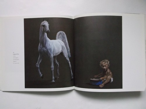 EMMA SERGEANT ARTIST PAINTER SHADES OF GREY EXHIBITION HORSES CATALOGUE ...