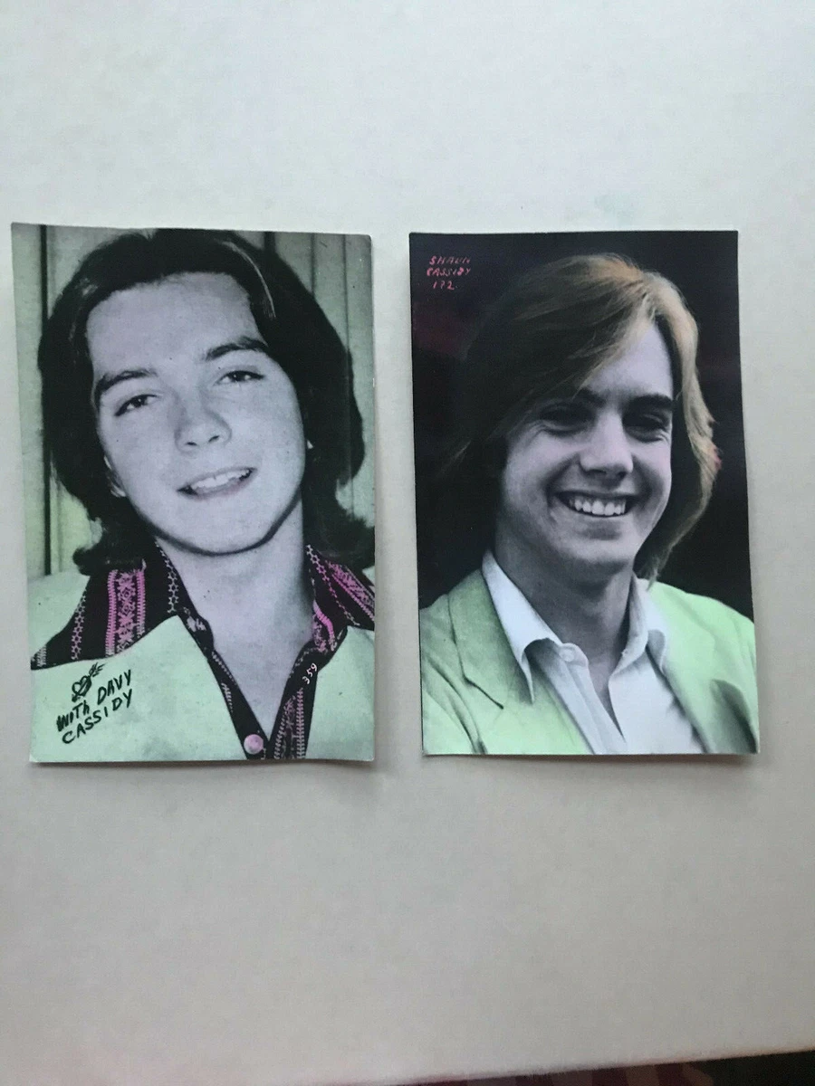 Shaun Cassidy David Cassidy