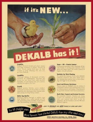 1953 Style Dekalb Seed Corn NEW Sign 24x30" USA STEEL XL Size 7 lbs | eBay