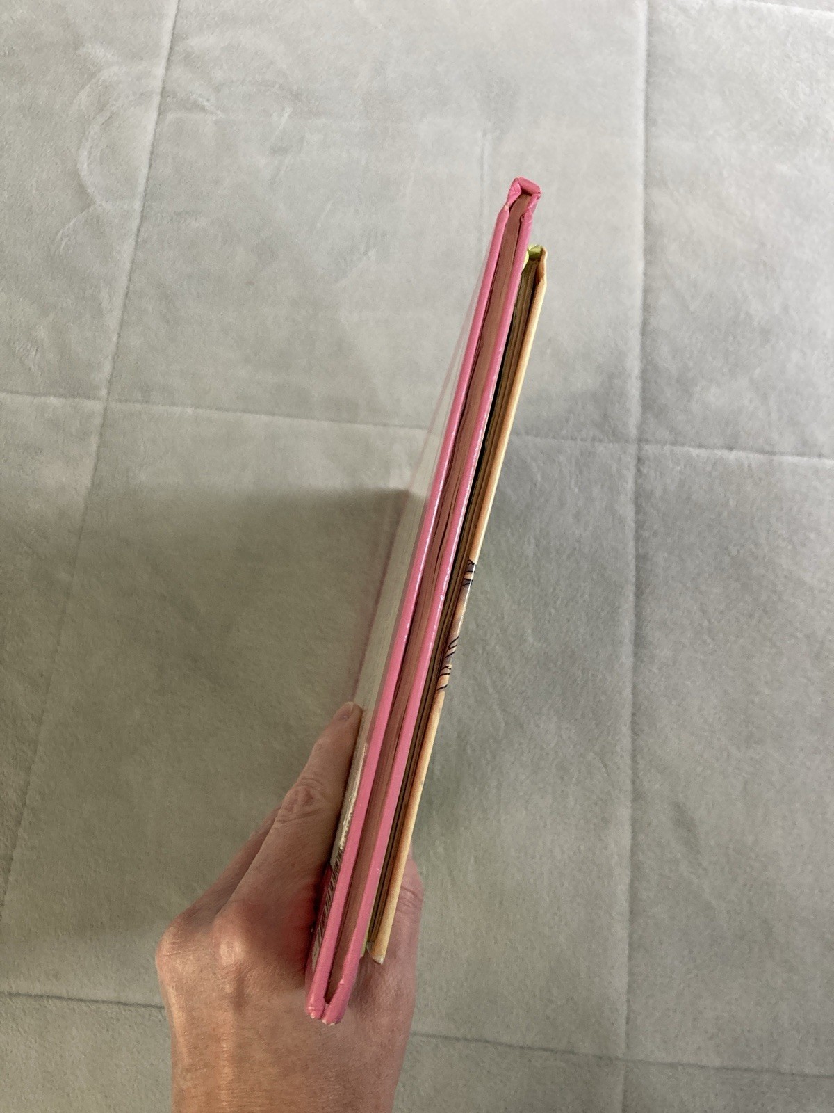 2 Vintage 1985 Princess Of Power She-Ra Books MOTU Golden Books | eBay