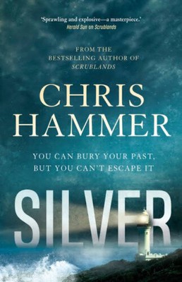 Silver (Martin Scarsden) by Chris Hammer [Paperback] 9781760878658 | eBay