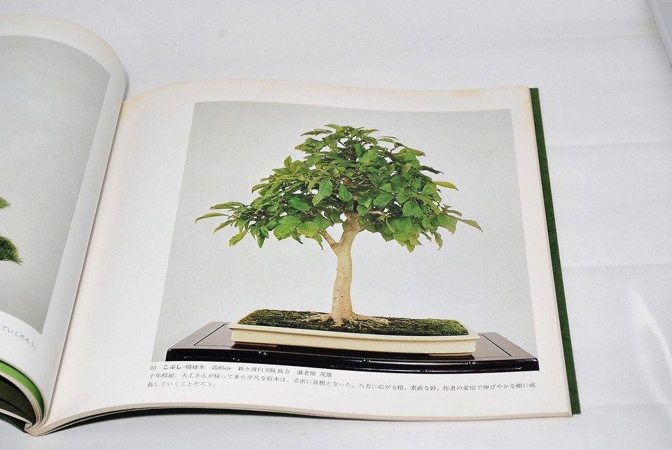 12th Japan Bonsai Professional Exhibition Catalog - NIPPON BONSAI ...