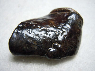 Fossil Mammal Rare Silicified Bone Stone Specimen Kansas 12 Grams | eBay