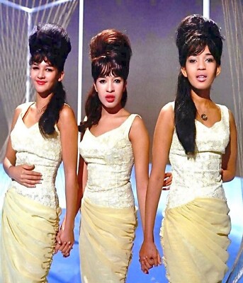 Ronnie Spector &The Ronettes Retro Girl Band Picture Poster Photo Print ...
