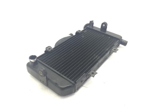 Radiator Water Liquid Cooling Engine and Cap YAMAHA TDM 900 2002 2005 ...