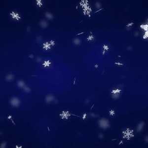 Disability Roadmap CIC | eBay Stores