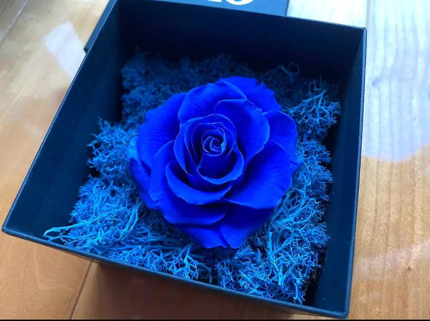 Ado merch SPECIAL LIVE 2024 SHINZO VIP Bonus 3 Set Brooch Wristband ...