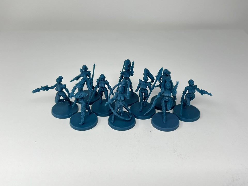 Space Elves Wych squad by Minigames Miniatures. 28-32mm print | eBay