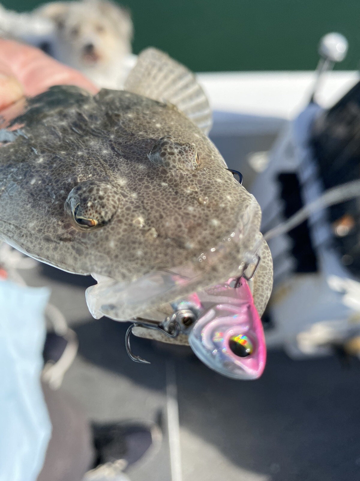 Fishing Metal Vibe Blade Fishing Lures Vibes 7/10/15g Bream Bass ...