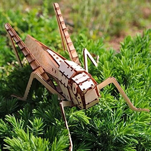 Tsukurun-desu® Japan Official Sales, Pocket Bugs, (Tonosama Grasshopper ...