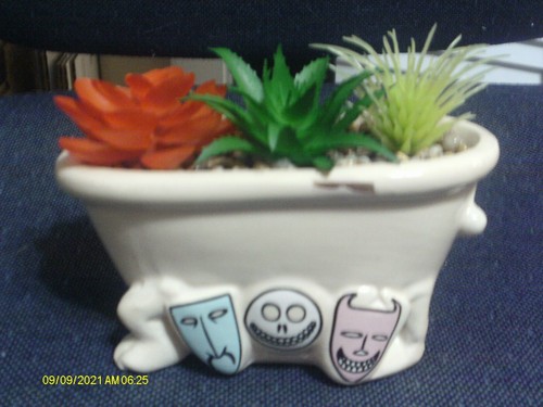 Disney Lock Shock Barrel Bathtub Succulent Nightmare Elm Street See ...