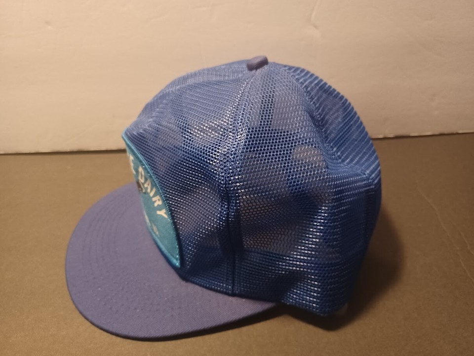 VTG Blue Ridge Dairy Spottswood, Virginia Patch Trucker Cap Hat Blue ...