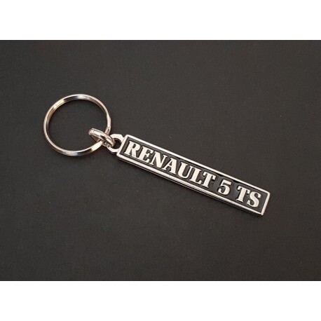 Porte-clés plaque Renault 5 TS, R5 5TS 9782950905895 | eBay