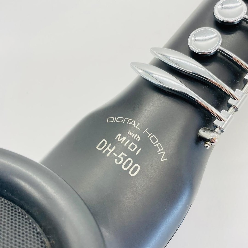 CASIO DIGITAL HORN DH-500 Tested Working Black with AC adapter | eBay