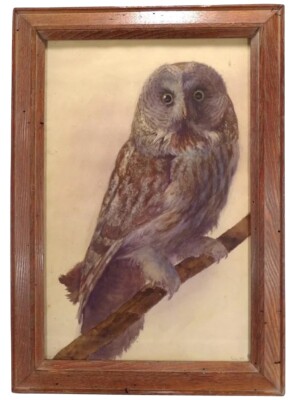 Antique Owl Print | Vintage Home | Antique Art | Classical Art | Owl ...