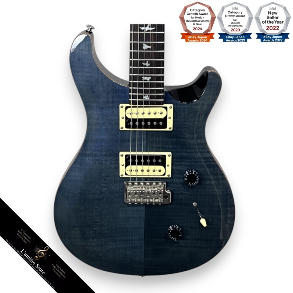 Paul Reed Smith SE Custom 24 Electric Guitar 2013 Vibrant Wood ...
