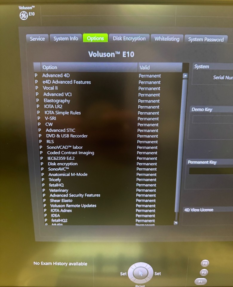 GE Voluson E10 BT21 4D Ultrasound System (MFG 2021) - Refurbished 2025 w/2 Probe | eBay