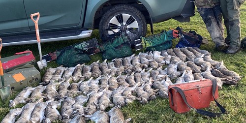 8z 25YRD HEAVY DUTY LONGNET COMPLETE BASKET SYSTEM RABBITING FERRETING ...