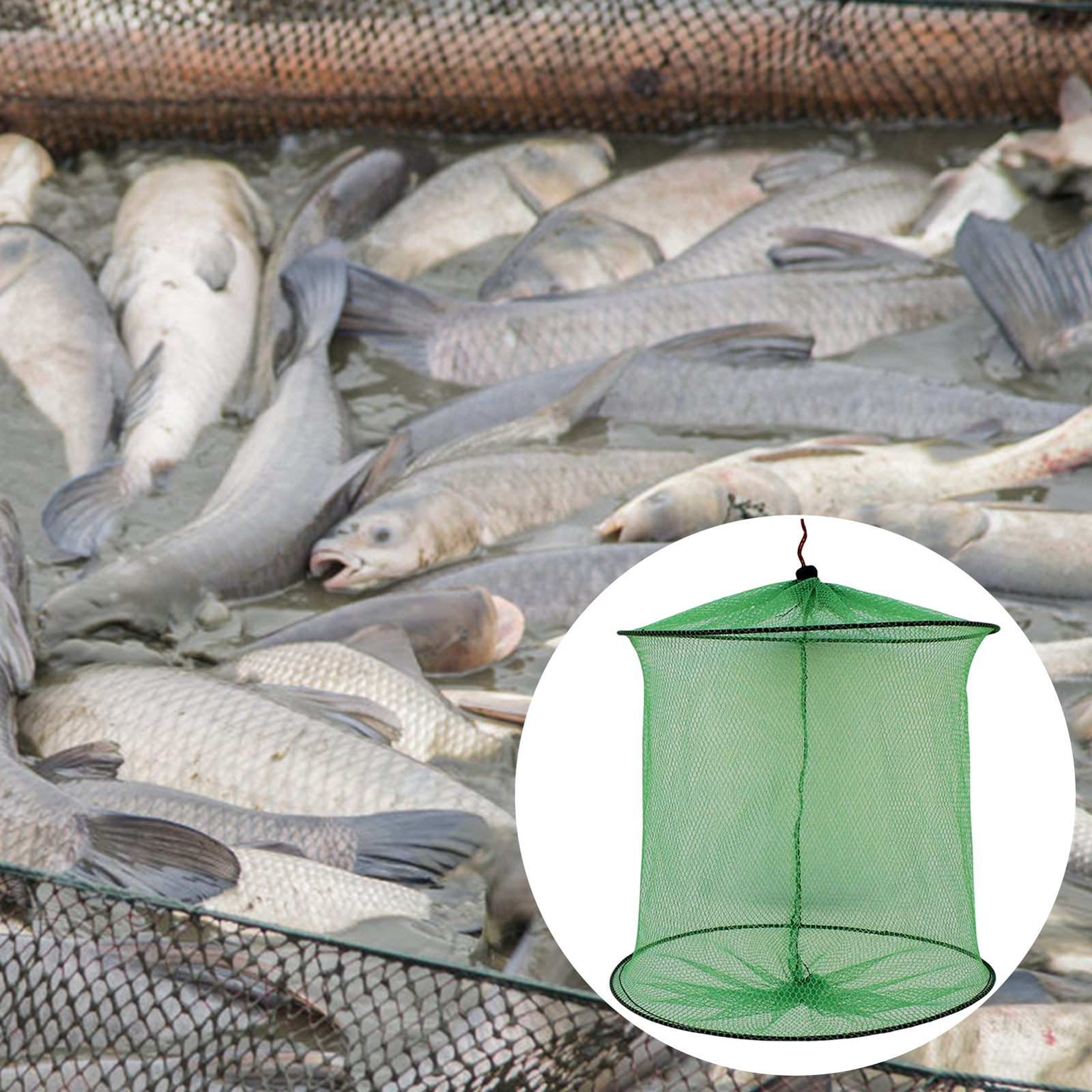 Fishing Net Hand Casting Cage Mesh Trap Fishing Basket Fish Keep Net ...