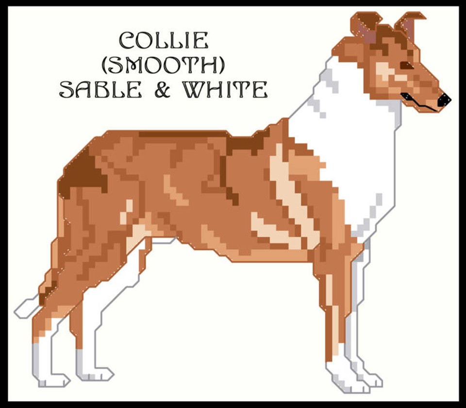 COLLIE, BEARDED & BORDER COUNTED CROSS STITCH PATTERNS | eBay