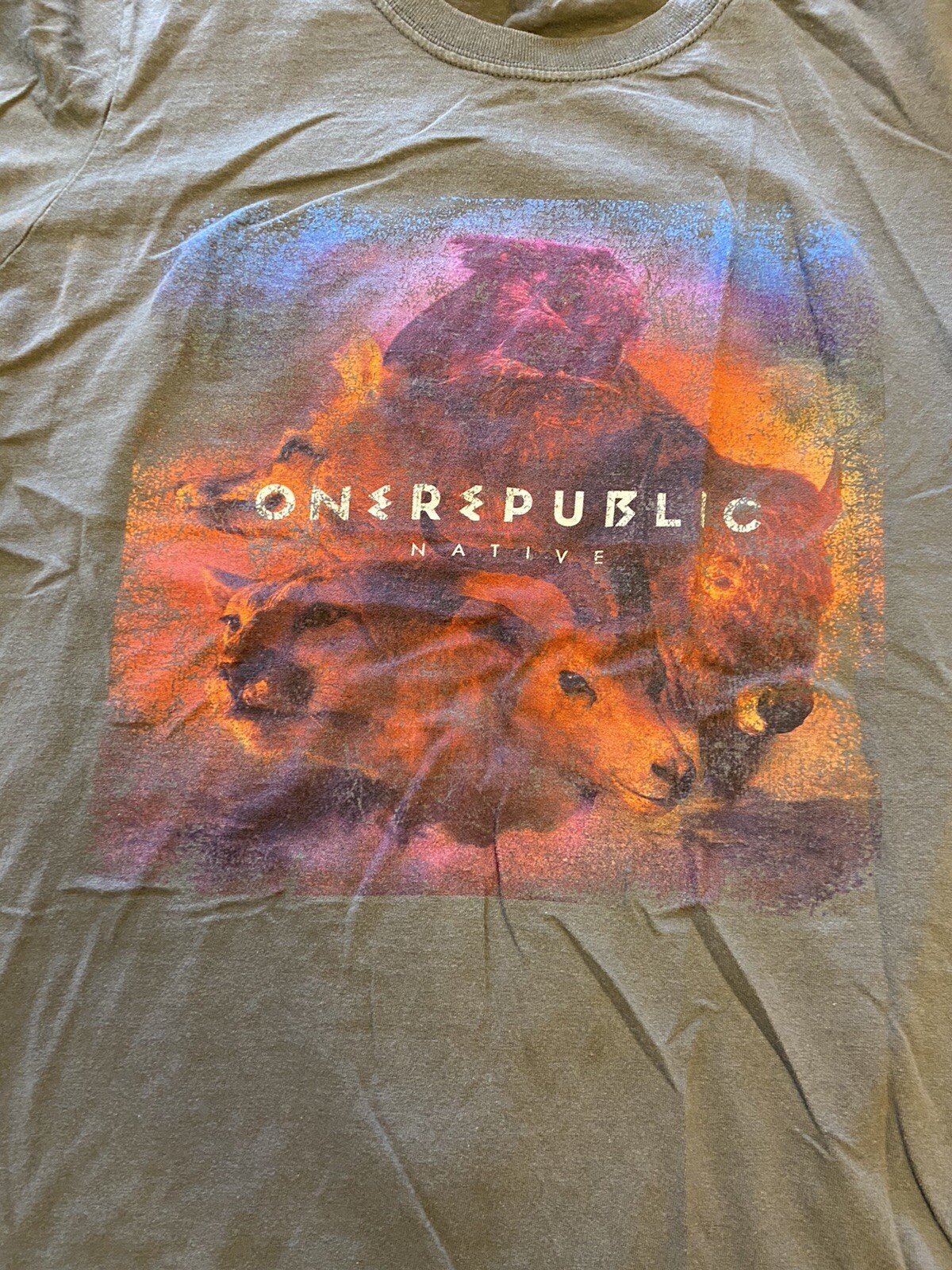 Native Onerepublic 2022