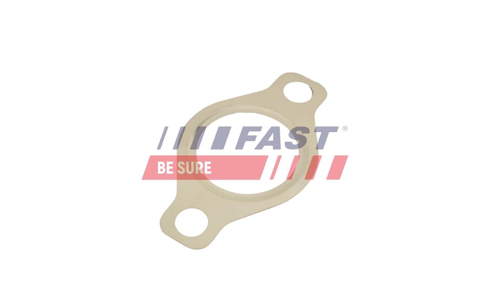 FAST FT50618 Gasket, EGR valve for CITROËN,FIAT,IVECO,PEUGEOT | eBay