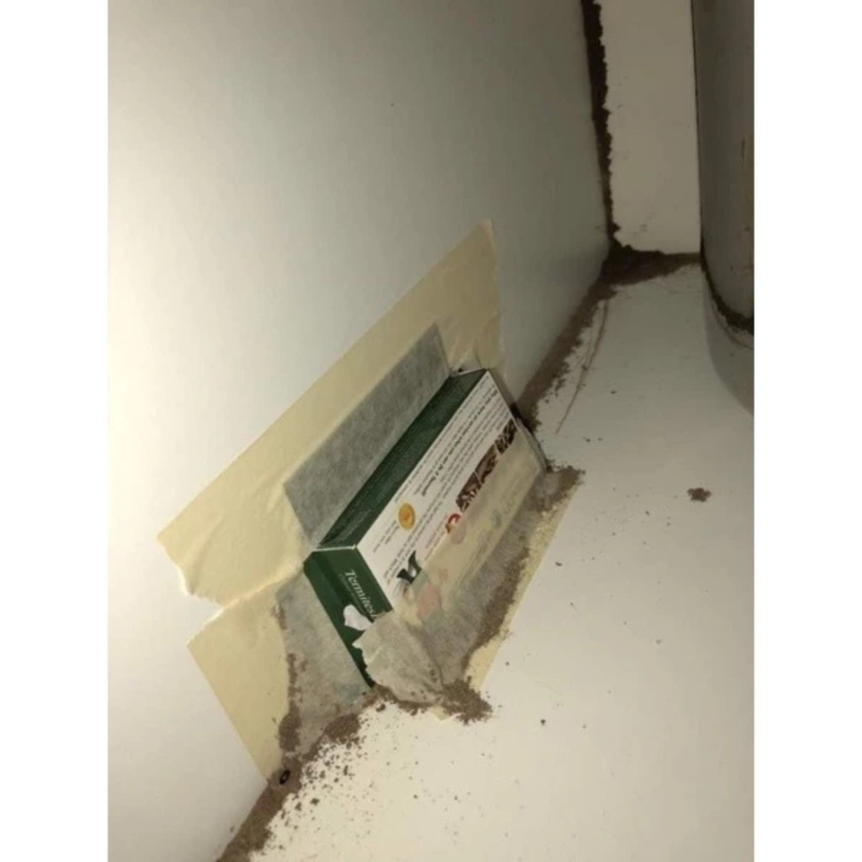3x Box Termite System DIY Colony Eliminate Solution(Free Shipping) | eBay