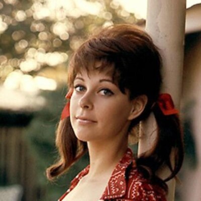 Lorrie Menconi 10 Different 4x6 Super Glossy Images Photo Collection | eBay