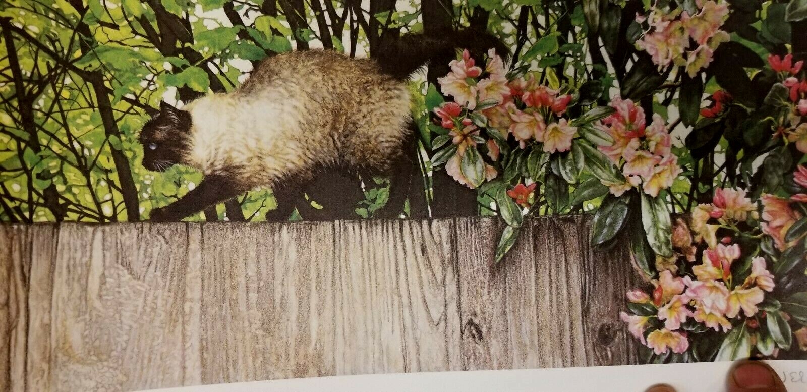 Sueellen Ross " Sylvie's Border Patrol " #193 of 750 MINT Siamese ...