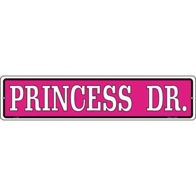 Princess Dr. Novelty Small Metal Street Sign K-1289 | eBay