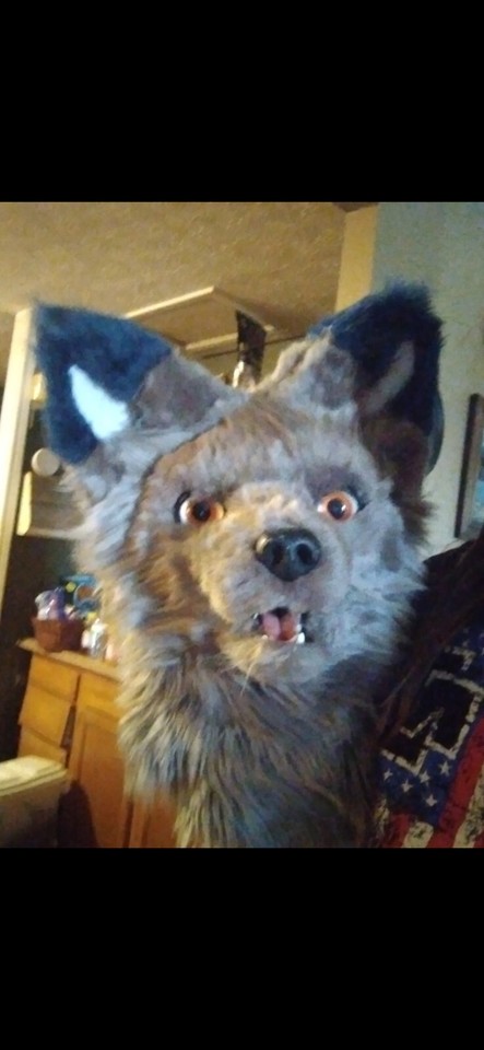 Grey And Blue Fox Partial Fursuit. Only Worn A Couple Times. | eBay