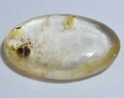 10.45 Ct 100% Natural Yellow Amber Insect Inclusion AGL Certified ...