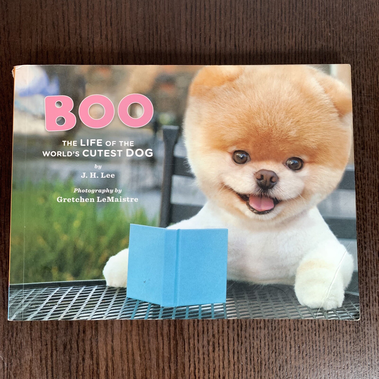 Cutest Puppy In The World 2011