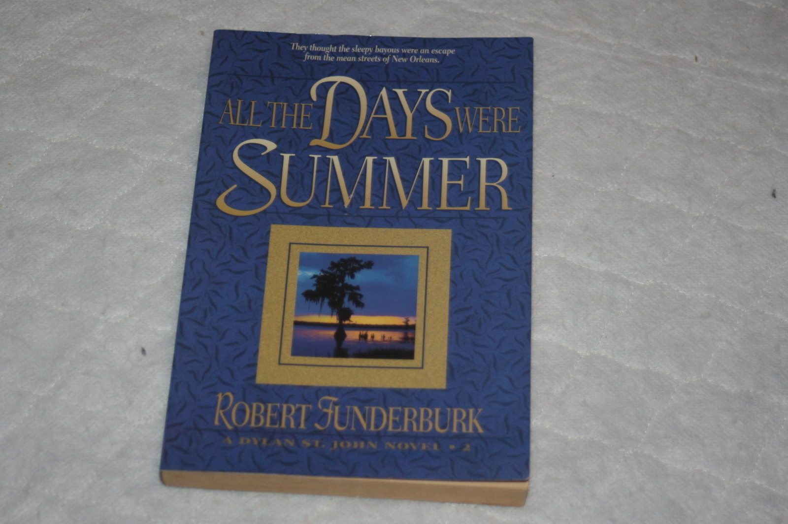 All the Days Were Summer Vol. 2 by Robert Funderburk (1997, Paperback ...