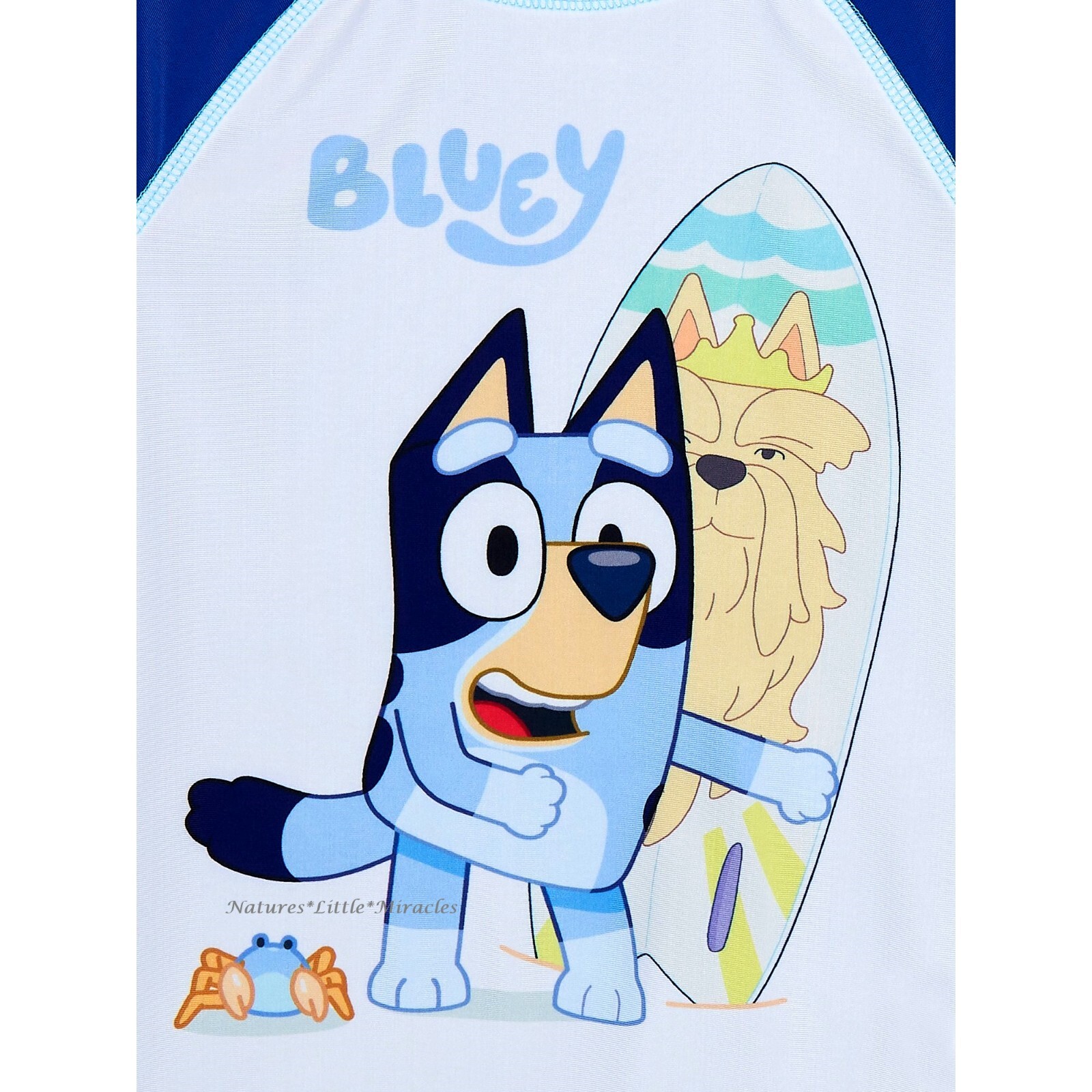 BLUEY Disney Swim Trunks Rash Guard Shirt Set Boys Swimsuit Size 2T 3T ...