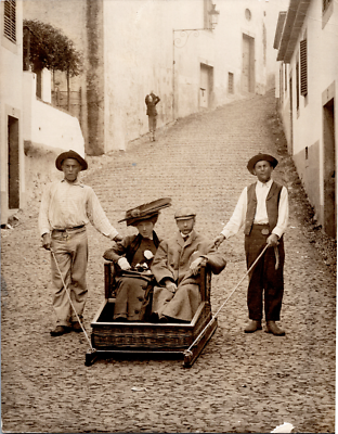 Madeira vintage print, tirage silver period 20x25 circa 1890