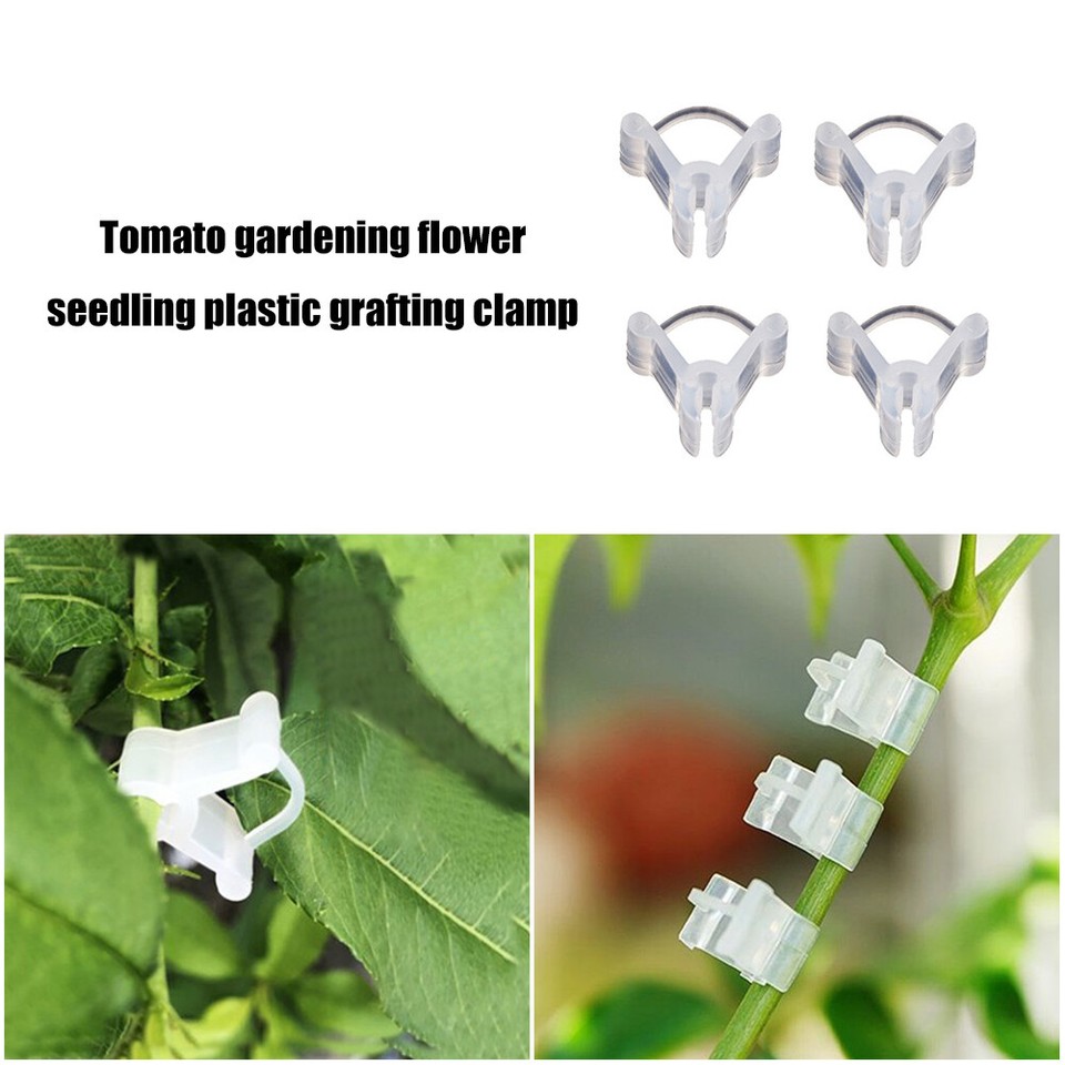 100x Garden Seeding Grafting Clips Gardening Vegetable Flower Plant ...