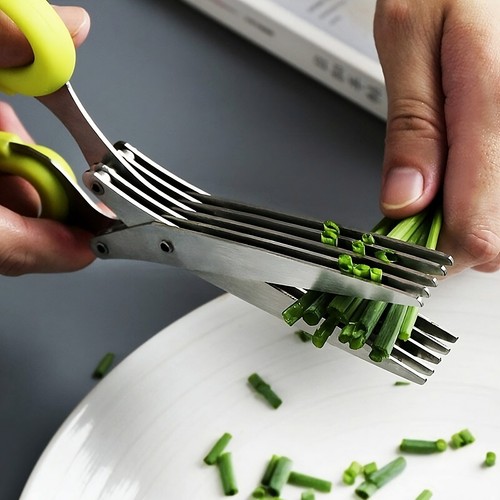 Stainless Steel Vegetable Scissors 5 Blades Scallion Scissors Herb ...
