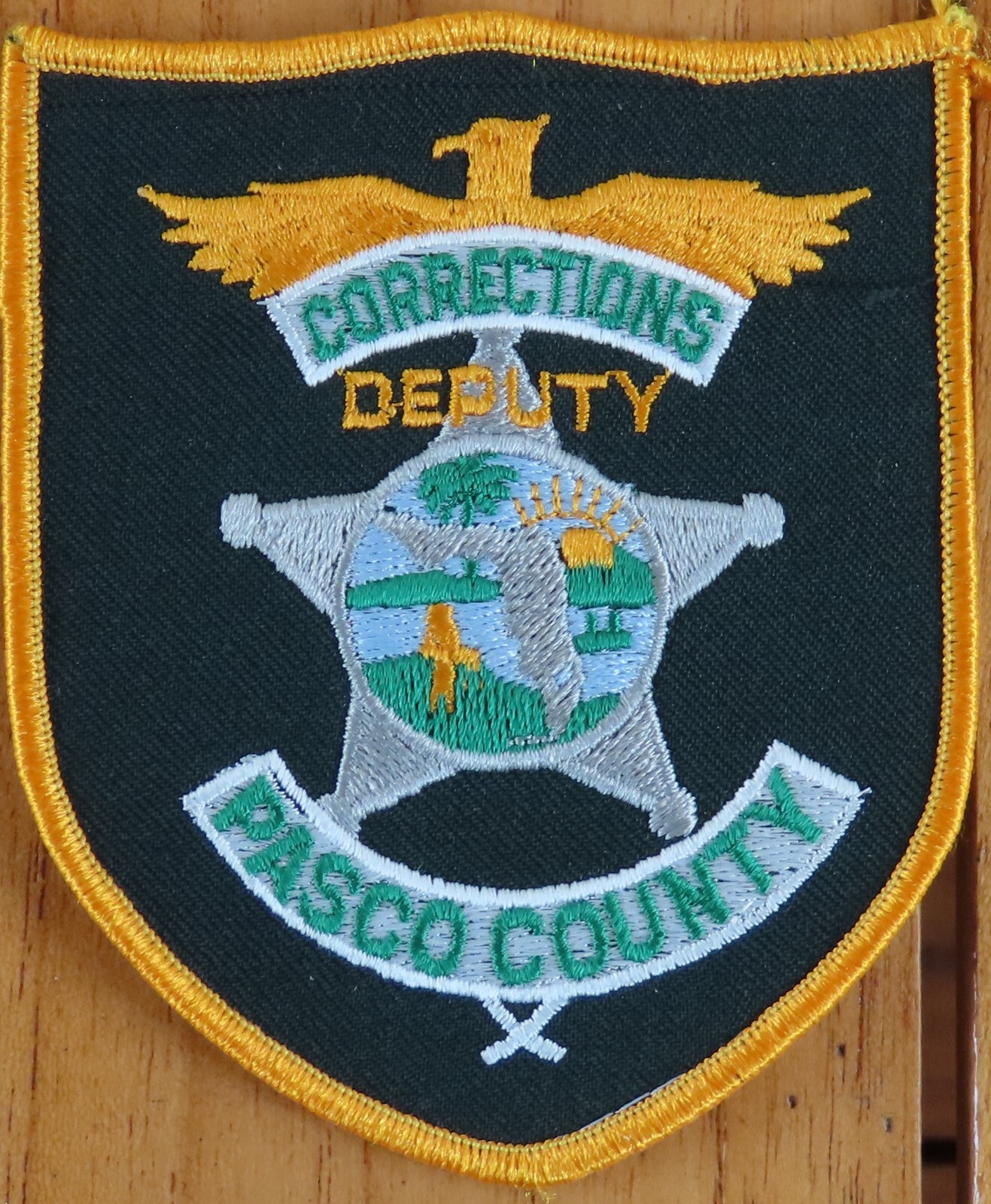 CORRECTIONS DEPUTY PASCOE COUNTY Patch. | eBay