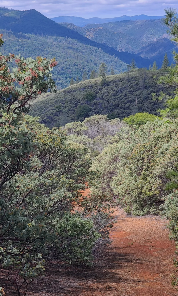 Golden Rose Creek, 30 Acre Placer Gold Mining claim, Twain Harte, CA | eBay