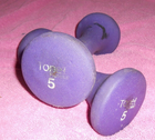 TONE FITNESS 5 LB PURPLE DUMBELL WEIGHTS - 10 LBS TOTAL | eBay