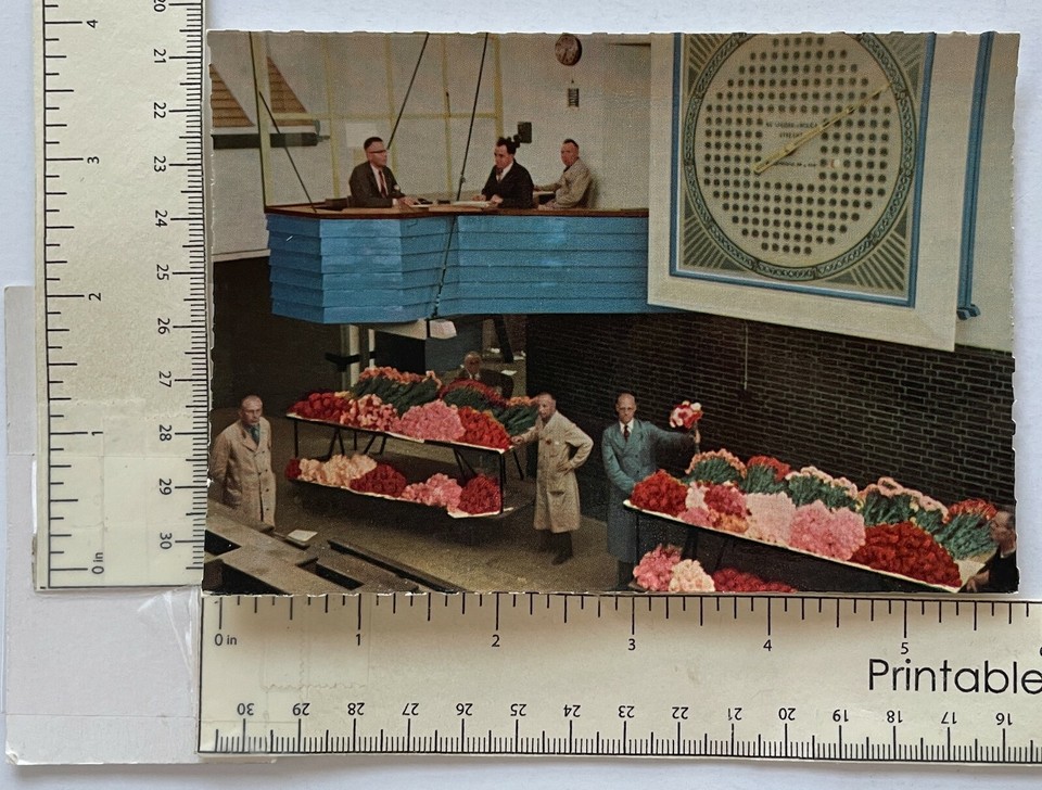 1960s Aalsmeer Holland Flower Center of Europe Vintage Postcard Auction ...