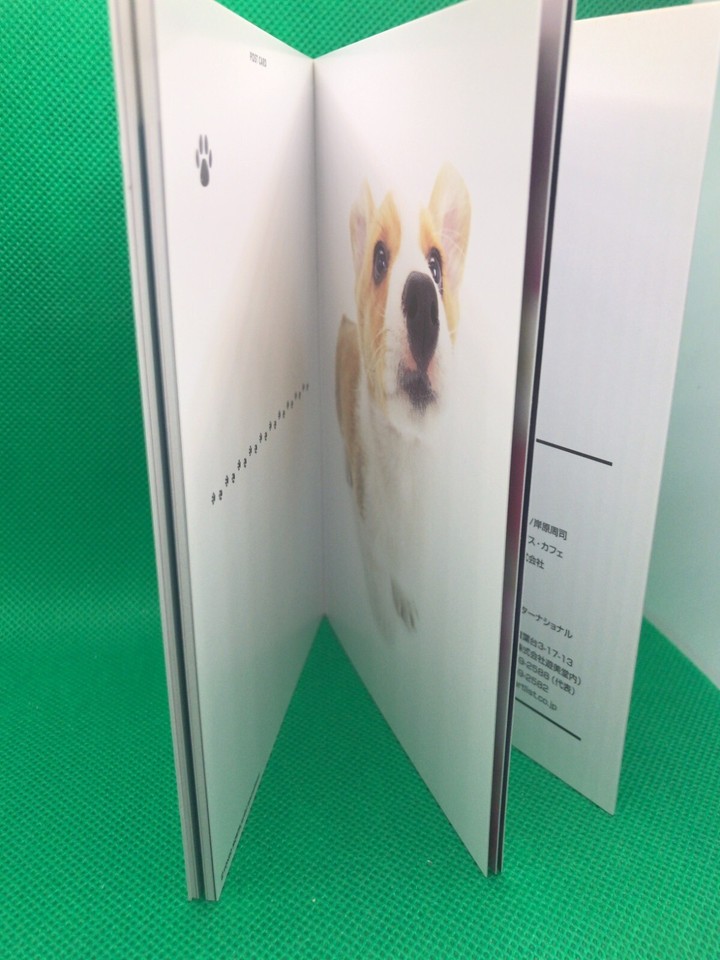 Welsh Corgi THE DOG artist 6in photo book with post cards Japanese | eBay