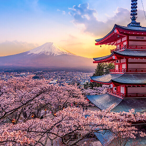 FORTUNA-JAPAN | eBay Stores