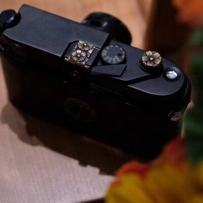 Camera Hot Shoe Cover Cap Shutter Button Sakura For Leica Sony Canon ...